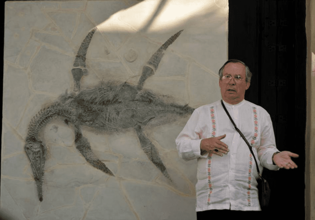 Mauriciosaurus”: Alcalde encuentra fósil de dinosaurio y le ponen su ...