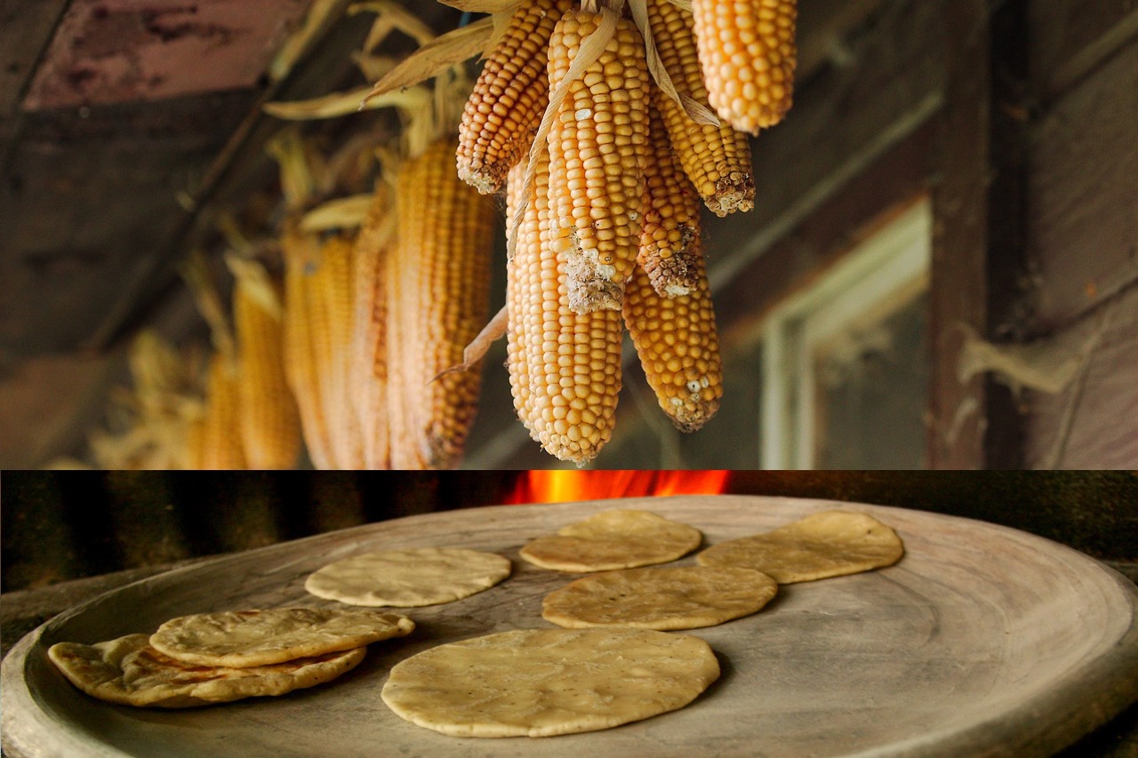 México y su crisis de buenas tortillas | CC News