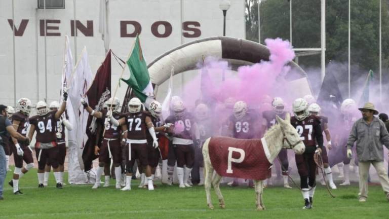 ¿Pooor? El IPN pierde los derechos sobre el uso del burro blanco | CC News